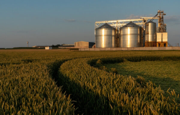 Fertilizer Stocks to Buy | Learn More | Investment U